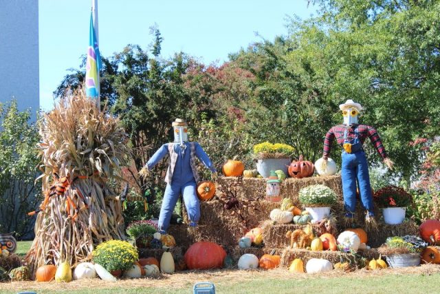 7 October Yard Decoration Ideas on the Cheap