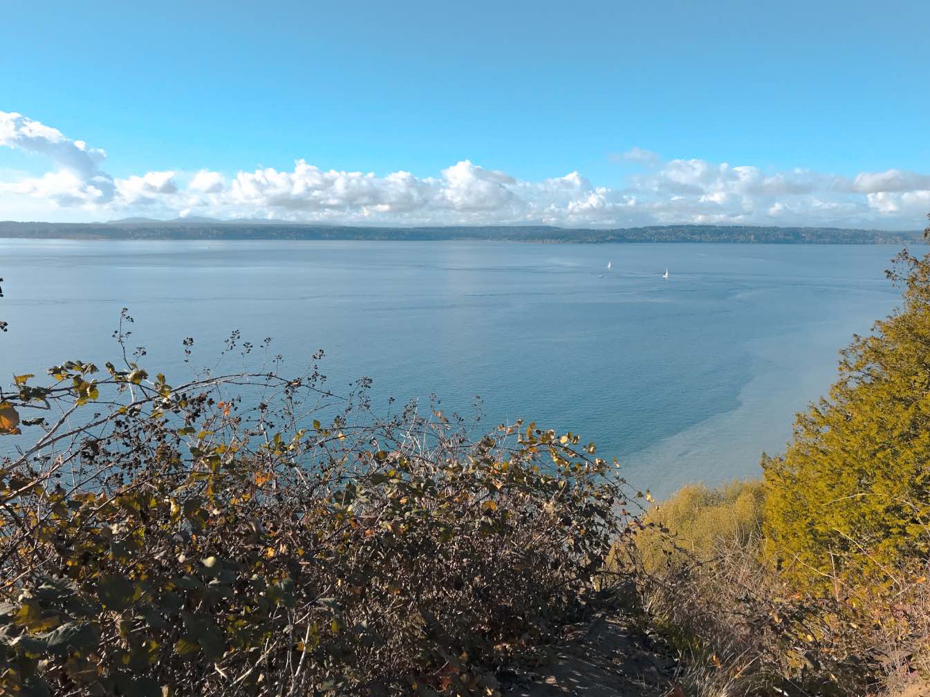 Discovery Park Loop Trail on a Sunny Day is THE BEST